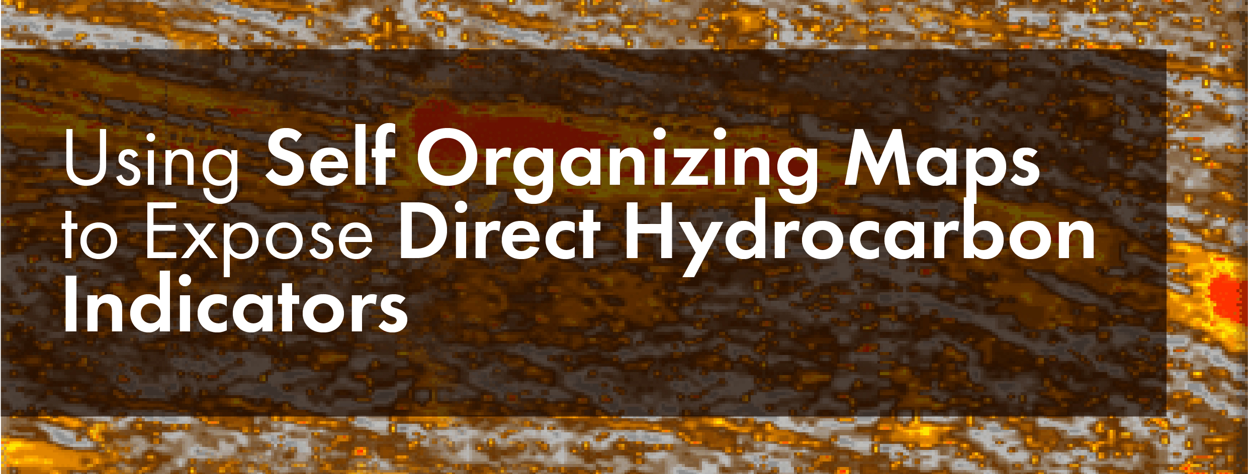 Using Self-Organizing Maps to Expose Direct Hydrocarbon Indicators