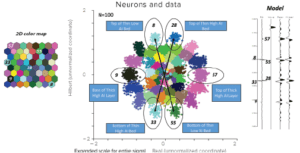 Seismic Interpretation Below Tuning with Multi-attribute Analysis
