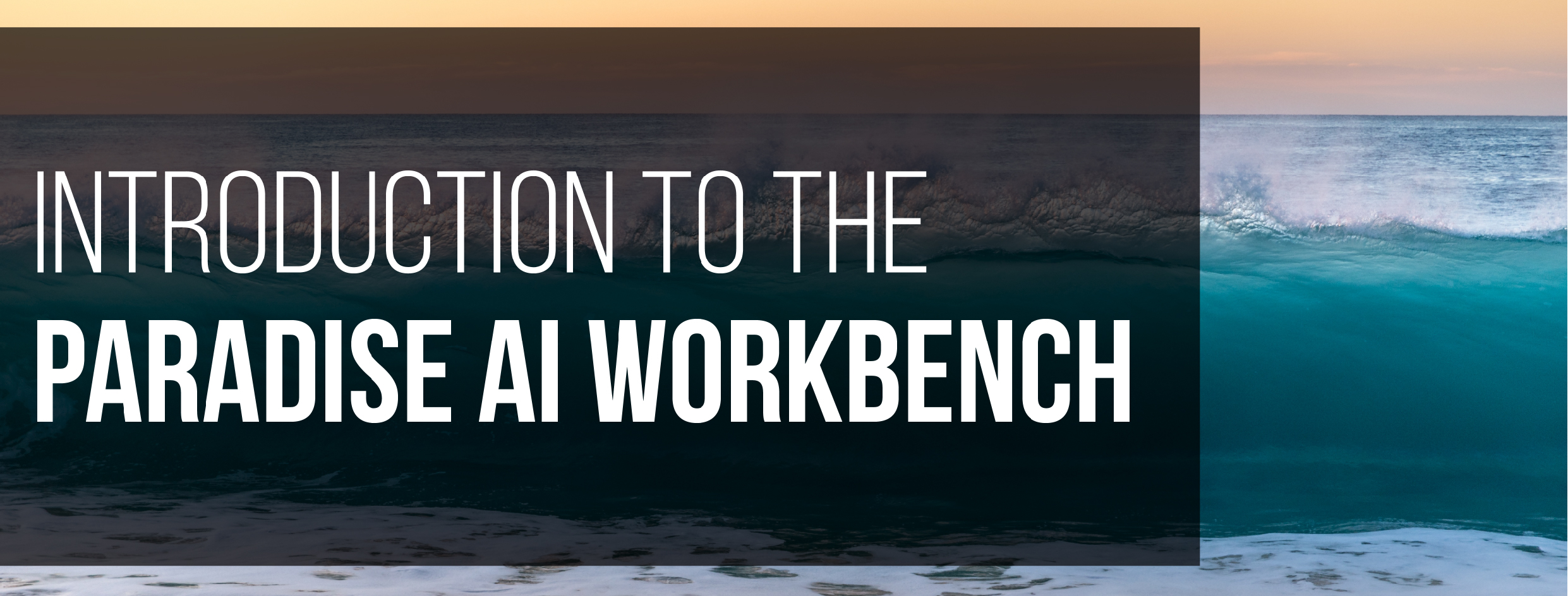 Geophysical Insights - Introduction to the Paradise AI Workbench