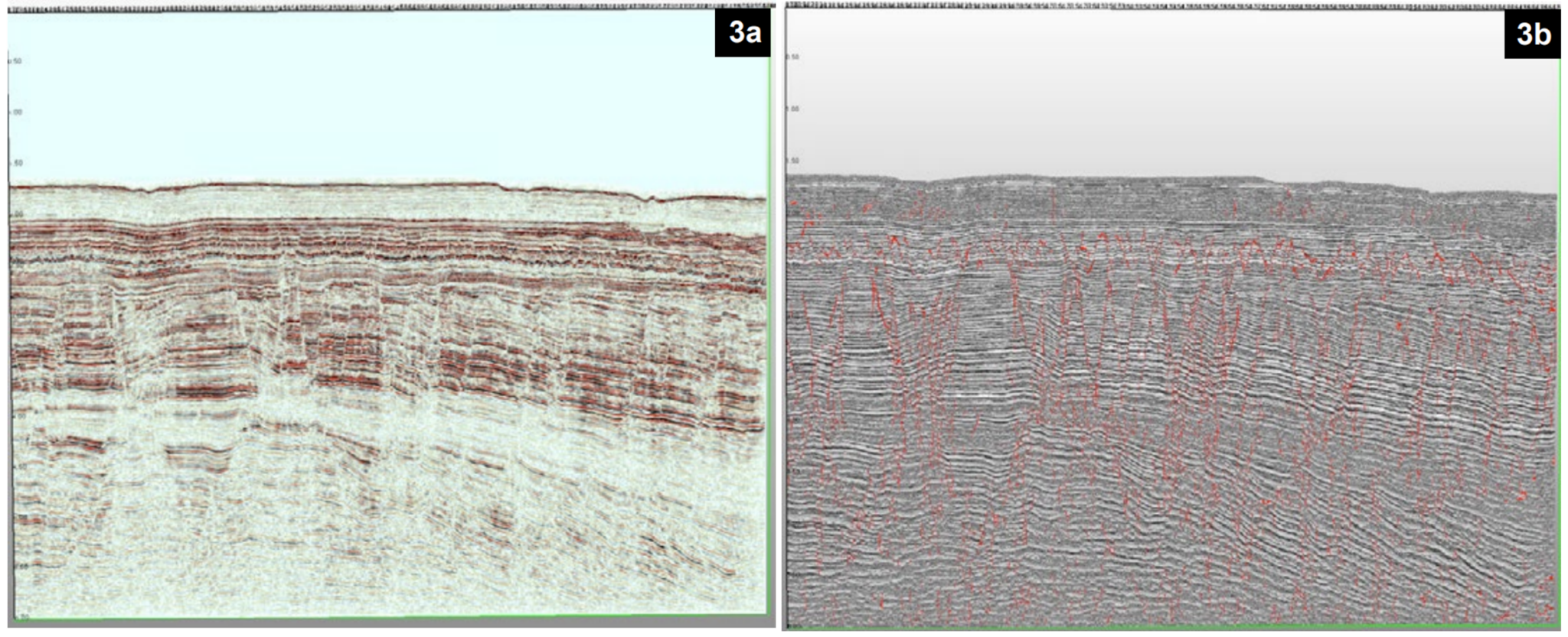 Advanced Trends in Machine Learning for Seismic Fault Delineation 2021
